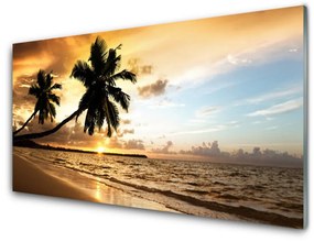 akrylový obraz Palma Stromy Pláž Krajina 140x70 cm