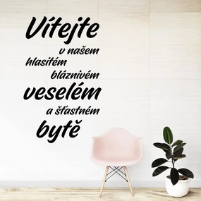 Vítejte v našem bytě - vinylová samolepka na zeď 130x80cm