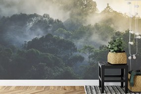 Fototapeta Landscape Of Asia Tropical Rainforest, Canopy Tree Of Jungle Green Forest Park Outdoor, Nature Environment Mountain View, Concept Of Freedom Relaxation In Holiday For Spa Yoga And Retreat Strukturální vinyl 368x280
