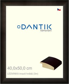 DANTIK rámeček 40x50 | LEDVINKA tmavě hnědá (Plexi Čiré)