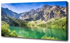 Wallmuralia Foto obraz na plátně Mořské oko Tatry 100x50