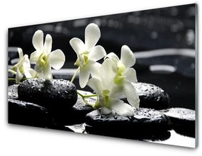 Kuchyňský skleněný panel Květ Kameny Rostlina 140x70 cm