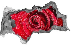 Wallmuralia Samolepící díra Kapky vody na růži 95x73 cm