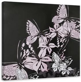 Obraz na plátně Motýl Hmyz - 40x40 cm