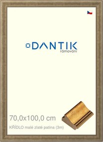 DANTIK rámeček 70x100 | KŘÍDLO malé zlaté patina (Plexi Čiré)