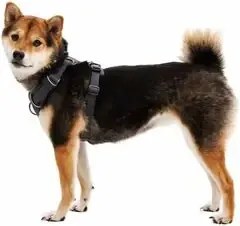 Ruffwear Front Range Postroj pro psy Basalt Gray - XS