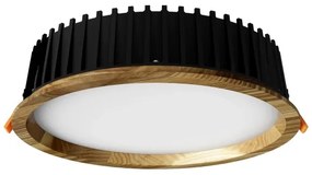 APLED - LED Podhledové RONDO WOODLINE LED/18W/230V 4000K pr. 26 cm jasan masiv