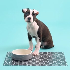 Mason Cash Colour Mix Pet Bowl miska pro psy 15 x 4 cm, šedá, 2030.465