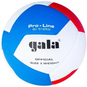 Volejbalový míč gala pro line 12 bv 5125 s