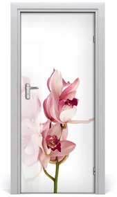 Fototapeta na dveře Růžová orchidej 75x205 cm