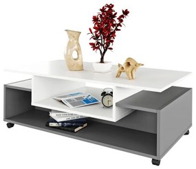 Konferenční stolek Dalo (bílá + grafit). 1002481