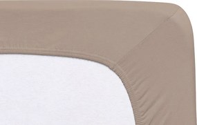 Florella Prostěradlo Avance Jersey Elastan Koreander, 90-100x200-220 cm