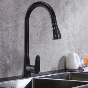 Rea Mild, stojánková kuchyňská baterie, černá matná, REA-B4800