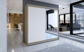 ADRK Furniture Posuvná skříň s zrcadlem VIKI 180 SW-VIK-S+W-180+A383