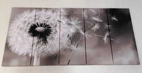 5-dílný obraz kouzelná pampeliška v černobílém provedení - 100x50 cm
