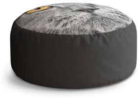 Sablio Taburet Circle Kočičí pohled: 38x48 cm