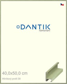 DANTIK rámeček 40x50 | ALU profil 6030 Dýha barevná zelená pastel (Plexi Čiré)