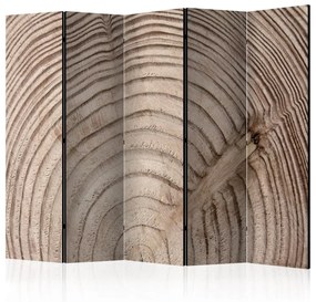 Paraván - Zrnitost dřeva II 225x172