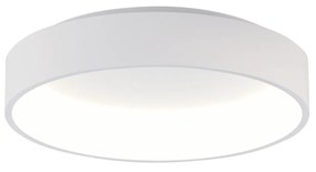 ACB Iluminacion Stropní LED svítidlo DILGA, ⌀ 60 cm, 48W, CRI90, CCT switch 2700-3000K Barva: Bílá, Stmívání: ON/OFF