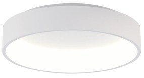 ACB Iluminacion Stropní LED svítidlo DILGA, ⌀ 60 cm, 48W, CRI90, CCT switch 2700-3000K Barva: Černá, Stmívání: Casambi