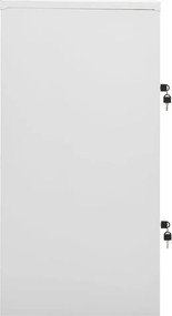 vidaXL Uzamykatelná skříň 90 x 45 x 92,5 cm ocel [336432] Barva: světle šedá