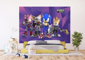 Dětská vliesová fototapeta na zed' Sonic | 252 x 182 cm | DFTDXL1969