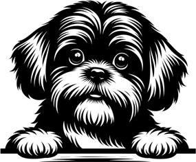 Samolepka pes Shih-tzu