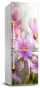 Wallmuralia Samolepící nálepka fototapeta Polní květiny 60x180 cm