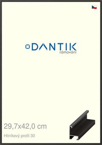 DANTIK rámeček 29,7x42 | ALU profil 6030 Dýha černá (Plexi Čiré)