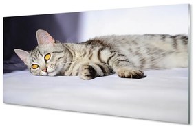 akrylový obraz ležící kočka 100x50 cm