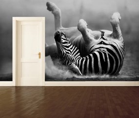 Tapeta - Zebra na zádech (120x80 cm) - PopyDesign
