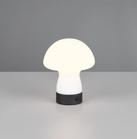 Matně bílá LED stolní lampa se skleněným stínidlem (výška 18 cm) Dooley – Reality