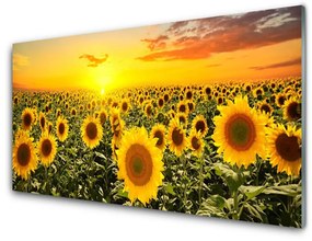 akrylový obraz Slunečnice 140x70 cm