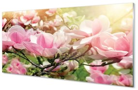 Obraz na skle květiny 100x50cm