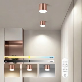 Immax NEO 07319L - LED Stm stropní sv RONDATE 18W/230V 11,5 cm Wi-Fi Tuya rose