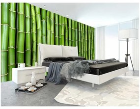 DIMEX | Vliesové fototapety na zeď Bambus MS-5-0165 | 375 x 250 cm| zelená