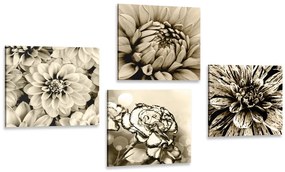 Set obrazů květiny v sépiovém provedení