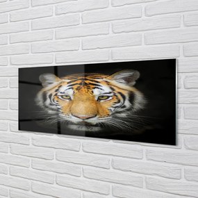 akrylový obraz Tygr 120x60 cm