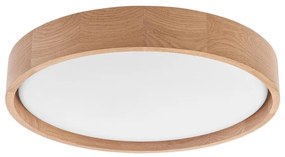 Brilagi - LED Stropní svítidlo MANAROLA SIMPLE LED/24W/230V 3000K