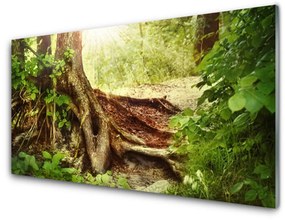 Obraz na skle Strom Kmen Příroda Les 100x50 cm
