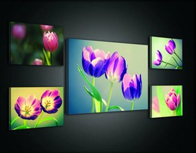 Postershop Obraz na plátně: Tulipány (2) - set 1ks 70x50 cm a 4ks 32,4x22,8 cm