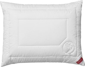 XXXLutz POLŠTÁŘ, 70/90 cm Hefel Textil - Polštáře pod hlavu - 004636001703