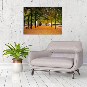 Obraz aleje podzimních stromů (70x50 cm)