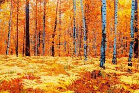 DIMEX | Samolepicí vliesová fototapeta na zeď Žlutý podzimní les MA-5-1907 | 375 x 250 cm | bílá, černá, žlutá, oranžová