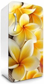 Fototapeta na lednici Plumeria 65 x 120 cm FR120-013