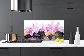 Skleněné obklady do kuchyně Květ Kameny Rostlina 100x50 cm