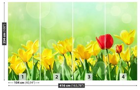 Fototapeta Žluté tulipány 104x70