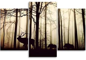 Gario Obraz na plátně Lesní zvířata - 3 dílný Rozměry: 60 x 40 cm