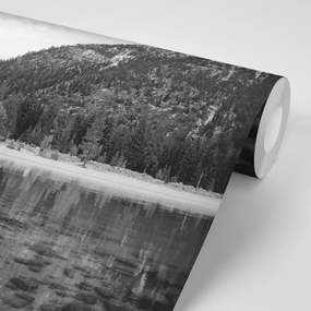 Samolepící fototapeta černobílé jezero obklopené přírodou