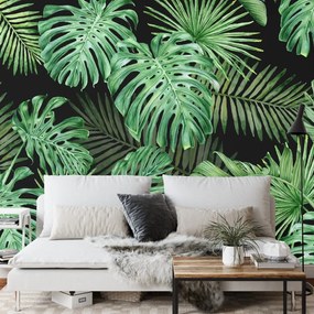 Fototapeta Monstera Odchází Strukturální vinyl 450x300